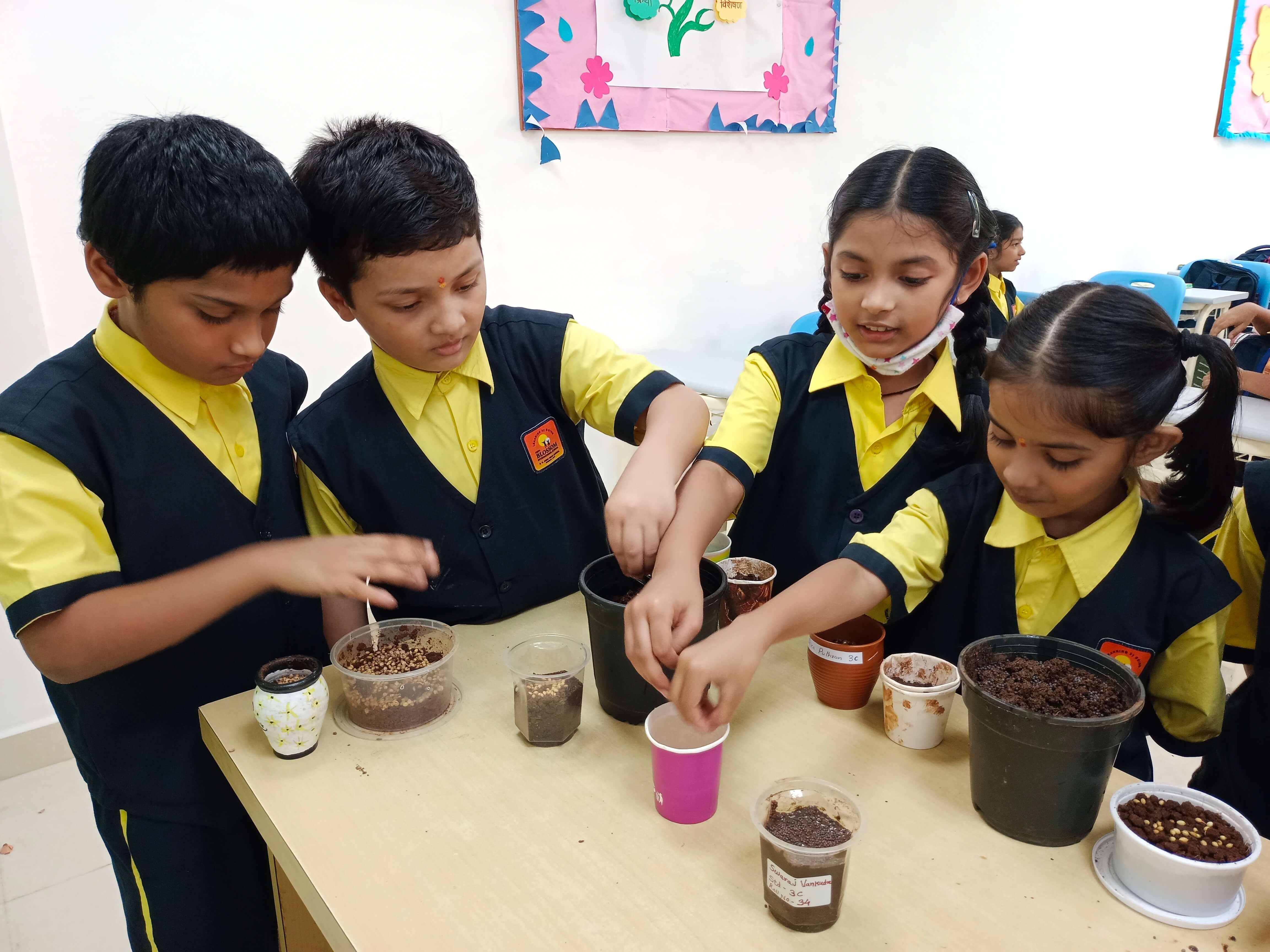 Blossom International School