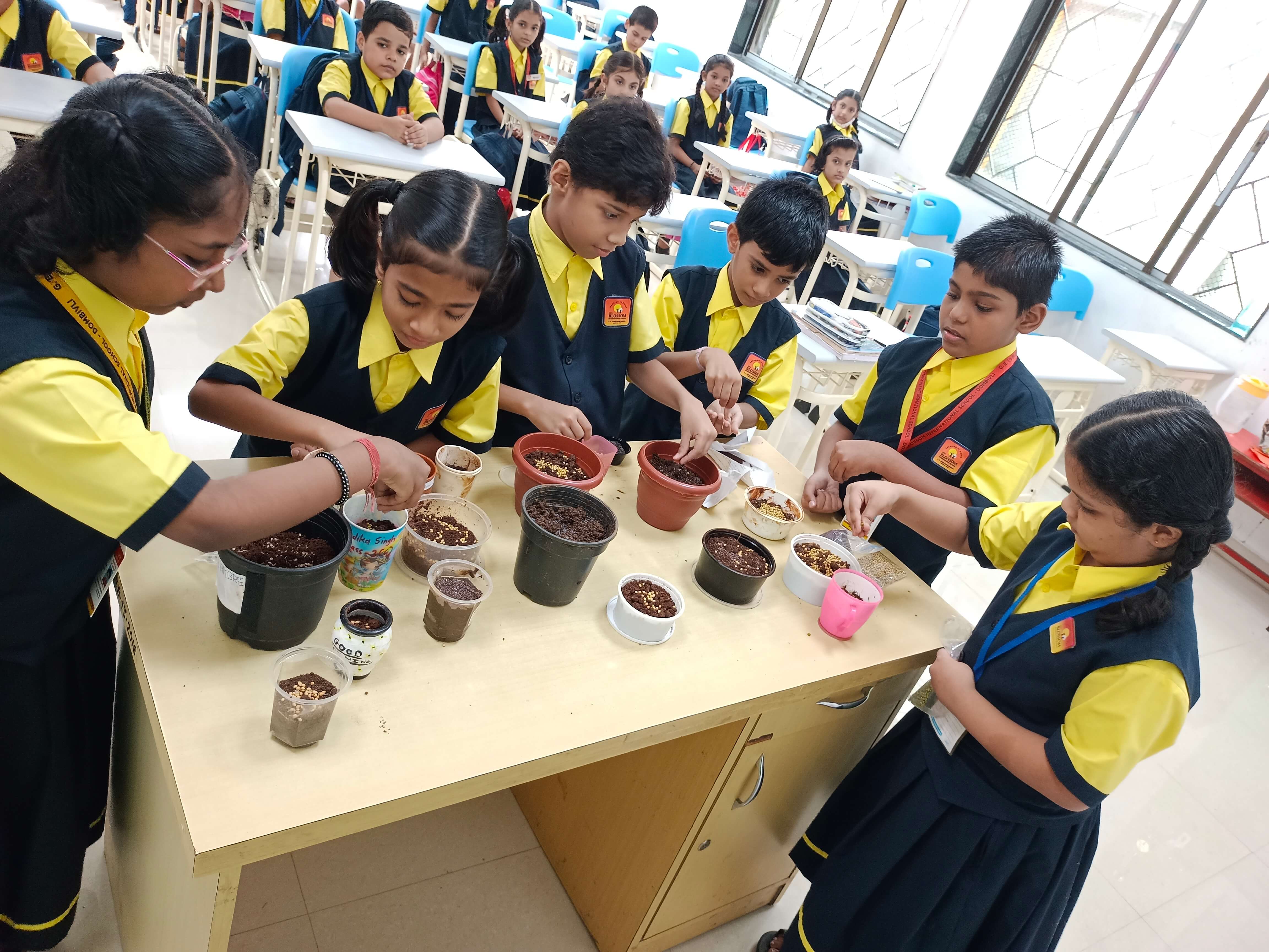 Blossom International School